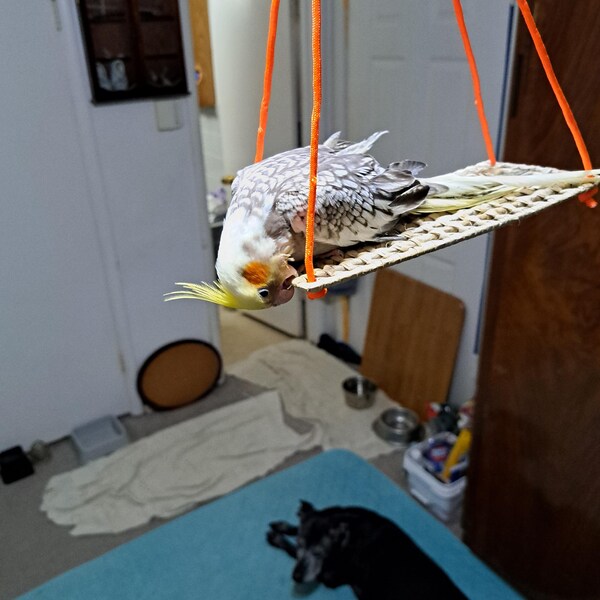 Power Poof Small Bird Toy - Etsy