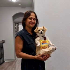 Samosa Plush Chew Toy for Pets - Etsy