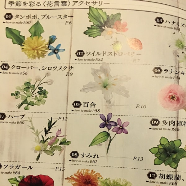 Liquid Plastic Dip Flower Practice Book - Japanese Craft Book - Etsy