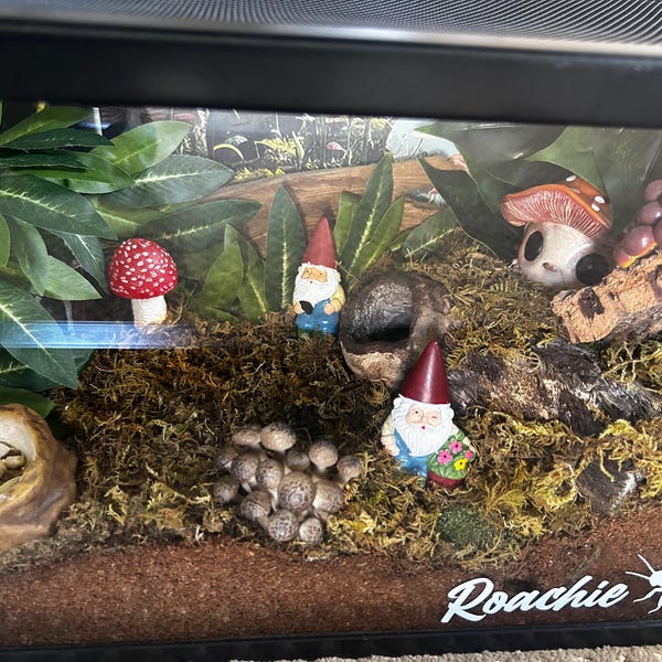 Rat Dress for Rat Crochet Dress for Pet Rat Sweater for Fancy Rat ...