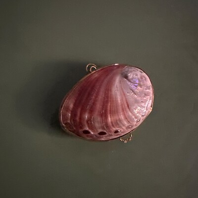 CARDIUM PESODOLIMA Sea Shell Trinket Box - Etsy