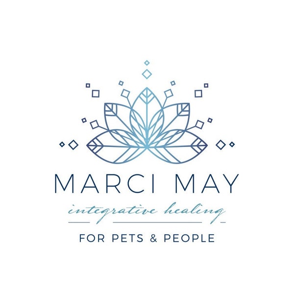 OOAK Logo Design + Video Animation - Professional & Artistic Brand ...