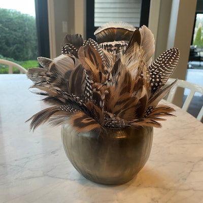 80 Pcs Assorted Feathers Natural Feathers Real Bird Feathers Feathers ...