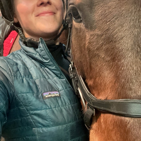 Navy Blue Velvet GP Saddle Pad Matchy Matchy Pony / Cob / Full / X Full ...