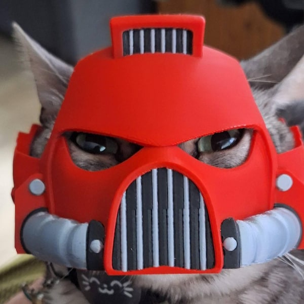 Atomic Fallout Bimbus Cat Helmet - Etsy