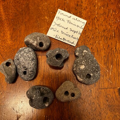 5-8 Irish Hag Stones small Multipack, Holey Stones, Adder Stones, Hag ...