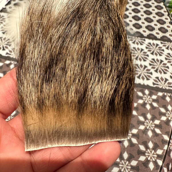 Fur Pieces - Pick Your Species - Exotics, African, North American and ...