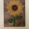Daisy String Art Kit Adult DIY Kit Includes All Crafting - Etsy