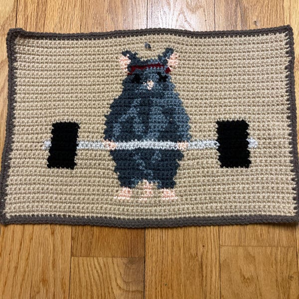 Gym Rat COMBO Crochet Tapestry Pattern PDF - Etsy