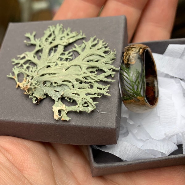 Birch Bark Ring With Forest Juniper - Etsy