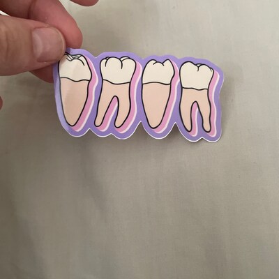 Anatomical Tooth Sticker Tooth Sticker Dental Sticker - Etsy