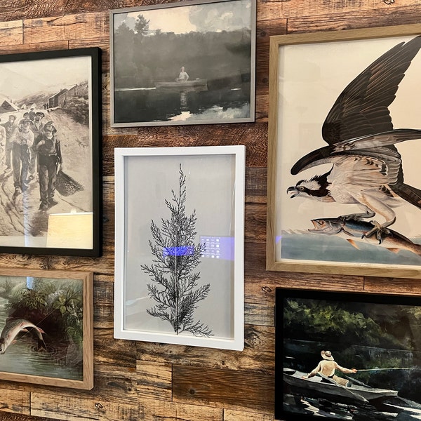 Art for Print Fishing Gallery Wall Set of 8 | Rustic Wall Decor Living ...