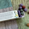 Mini Garden Chive miro Complete Growing Kit for - Etsy