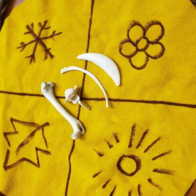 Pocket Osteomancy: A Simple Bone Divination Set Paperback Book, Casting ...