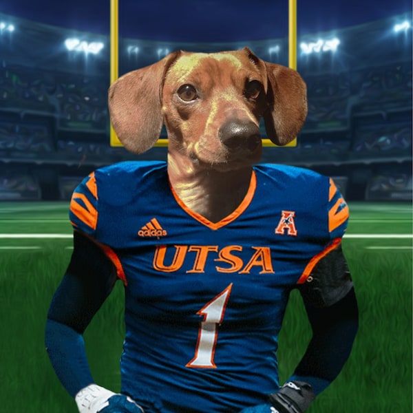 Custom American Football Dog Portrait . Kansas City Jersey Pet Portrait ...