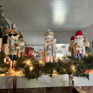 Starburst Carrier Shell stellaria Solaris for Coastal Home Decor ...