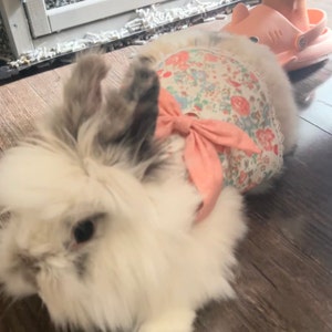 Autumn Ginkgo Wool Short Dress Pet Bunny Dress/harness - Etsy