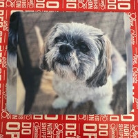 Custom Park Street Sign, Quality Personalized Decor Sign, Gift Make ...