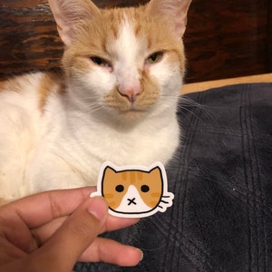 Cute Cat Vinyl Sticker Scientist Kitty Cute Sticker Car | Etsy