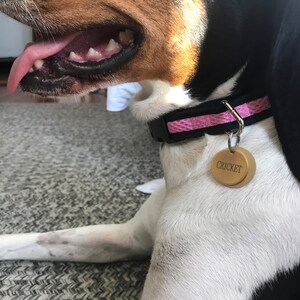 Most Durable Dog ID Tag. Active Dog ID Tag. Large and Heavy Duty Pet ID ...