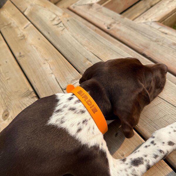 Cutest Dog Tags, Puppuccino Dog Tag, Pup Cup Starbucks, Id Tag, Custom ...