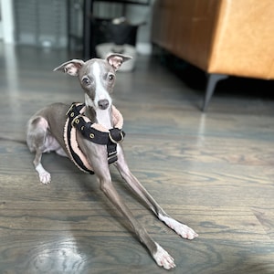 FLUFF Fluffy Lining / Colour Change - Etsy