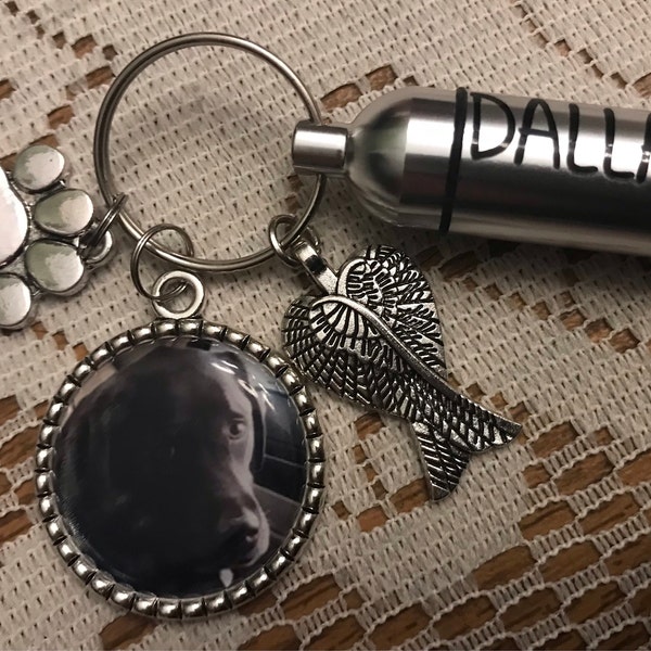 Pet Cremation Key Chain Photo Memorial Key Ring Pet Hair Key Ring for ...