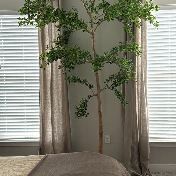 8' Shady Lady Black Olive Tree, Black Olive Tree, Shady Lady Tree, Faux ...