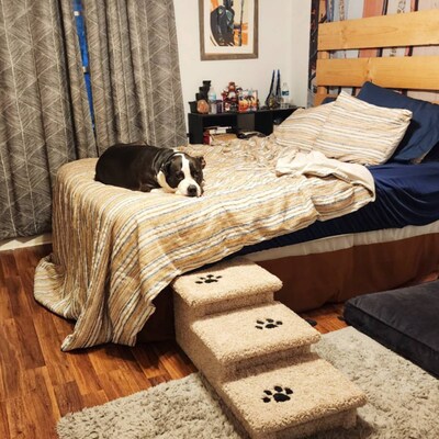 Cat Stairs for Bed, Wooden Pet Furniture, 18h X 17w X 24d, Premium ...