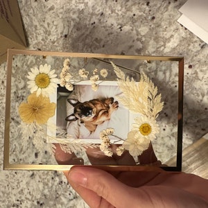 Custom Instax Mini & Instax Square Prints Instax Film Fujifilm Custom ...