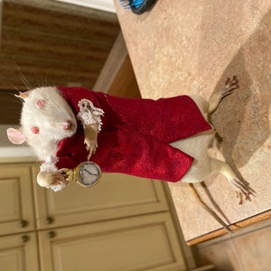 Taxidermy Rat Taxidermy Rat Mount Sculpture Hand Miniature - Etsy