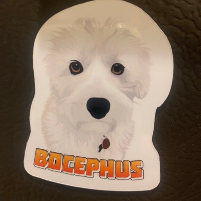 Personalized Dog Magnets Hand Drawn Custom Pet Magnets, Dog Head ...