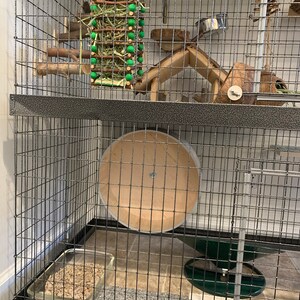 16 New Wheel Conception by Rodents Home. Aluminium Hoop Installed ...