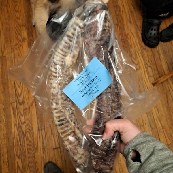 Rabbit Ears, Dehydrated 10 Pack, Hair on Treats Chews Bone Ear - Etsy