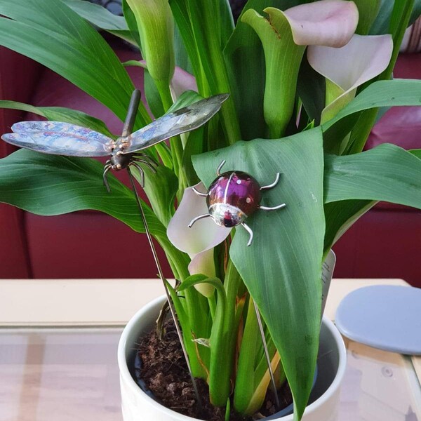 Gloss Black Spider. Made From Stainless Steel Dome Nuts. Scary ...