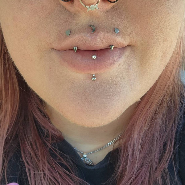 16G Implant Titanium Heart Eyebrow Ring/rook Barbell/curved Barbell ...