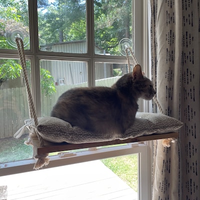 Handcrafted Cat Window Perch With Plush Bed Cat Window Perch, Cat ...