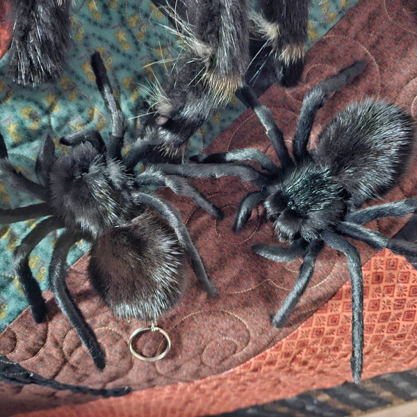 Realistic Tarantula Spider, Poseable Shelf Decor, Wall Mountable Faux ...