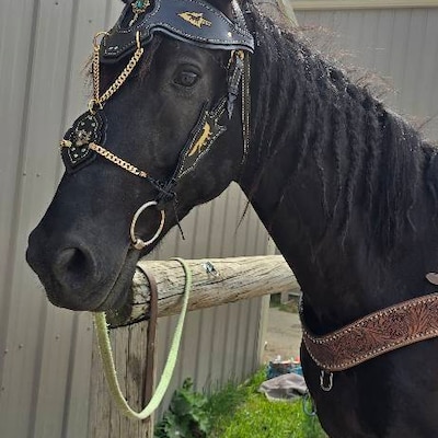 Elven Scout Peytral breast Collar - Etsy