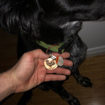 Custom Pet ID Tag, Skull and Crossbones Dog Tag, Handmade ID Tag ...