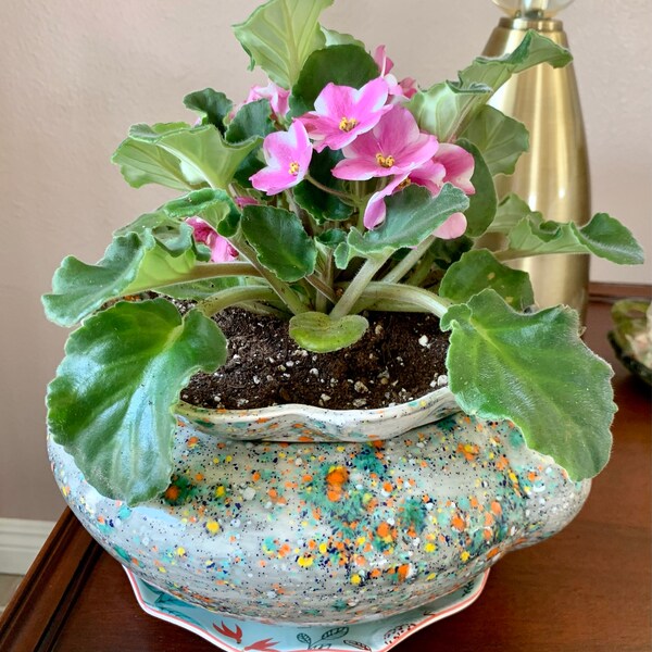 Ceramic African Violet Pot small - Etsy