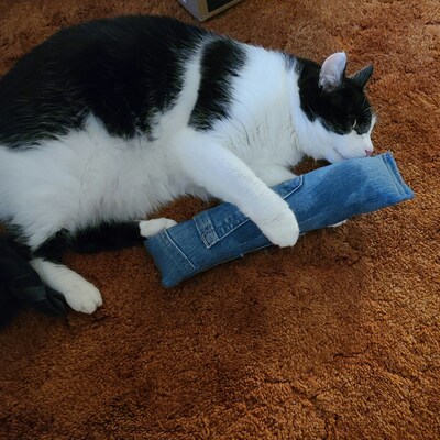 Upcycled Denim Catnip Toys Catnip Kickers Cat Toys Cat Gift Organic Catnip Cat Toy Cat Kicker ...