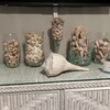 HUGE Vintage White Lightning Whelk Conch Seashell X-large 10-12" Shell ...