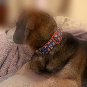 1 Autism Awareness Collar - Etsy