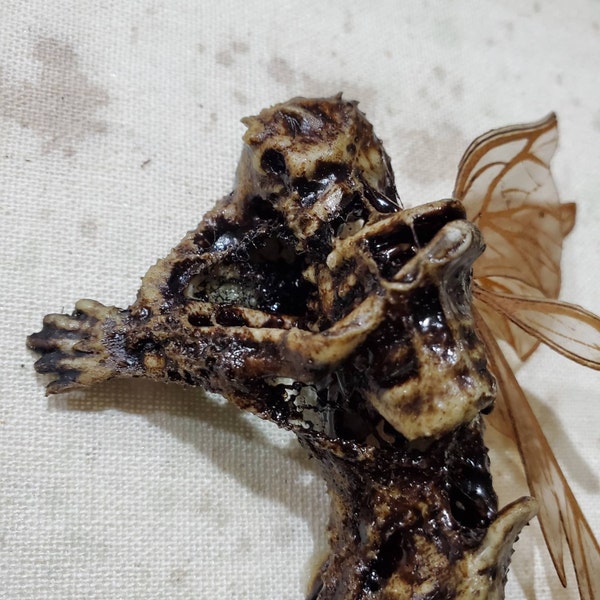 Dead Fairy Display Case - Etsy