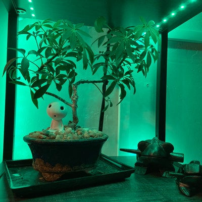 Korok Seed Set of 5 Golden Poop Zelda Breath of the Wild - Etsy