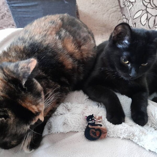 A Purrfect Match Cats Hugging Mini Brooch Necklace - Etsy