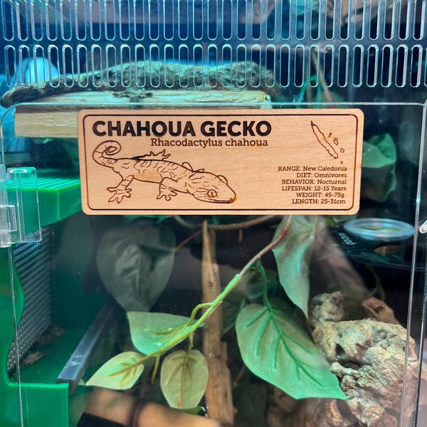 Jurassic Tags // Park Parody Species Identification Tags for Reptiles ...