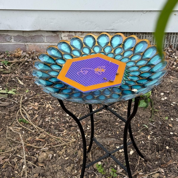 Monarch Butterfly Raising Kit- Butterfly Raising Kit, Milkweed Floral ...