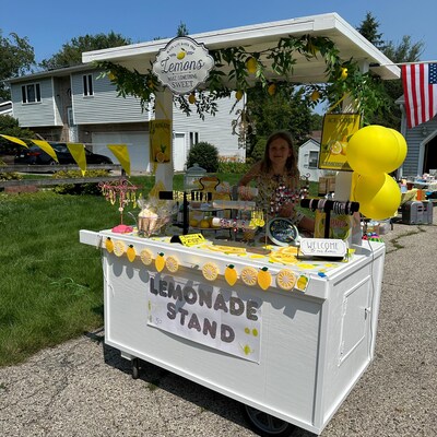 DIY Cart Plans Drink Cart Catering Cart Candy Cart Plan 0101 Standard ...